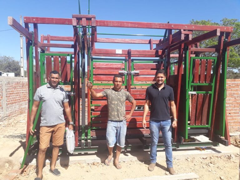 Tronco de contenção modelo americano com duas cabines e balança digital ...