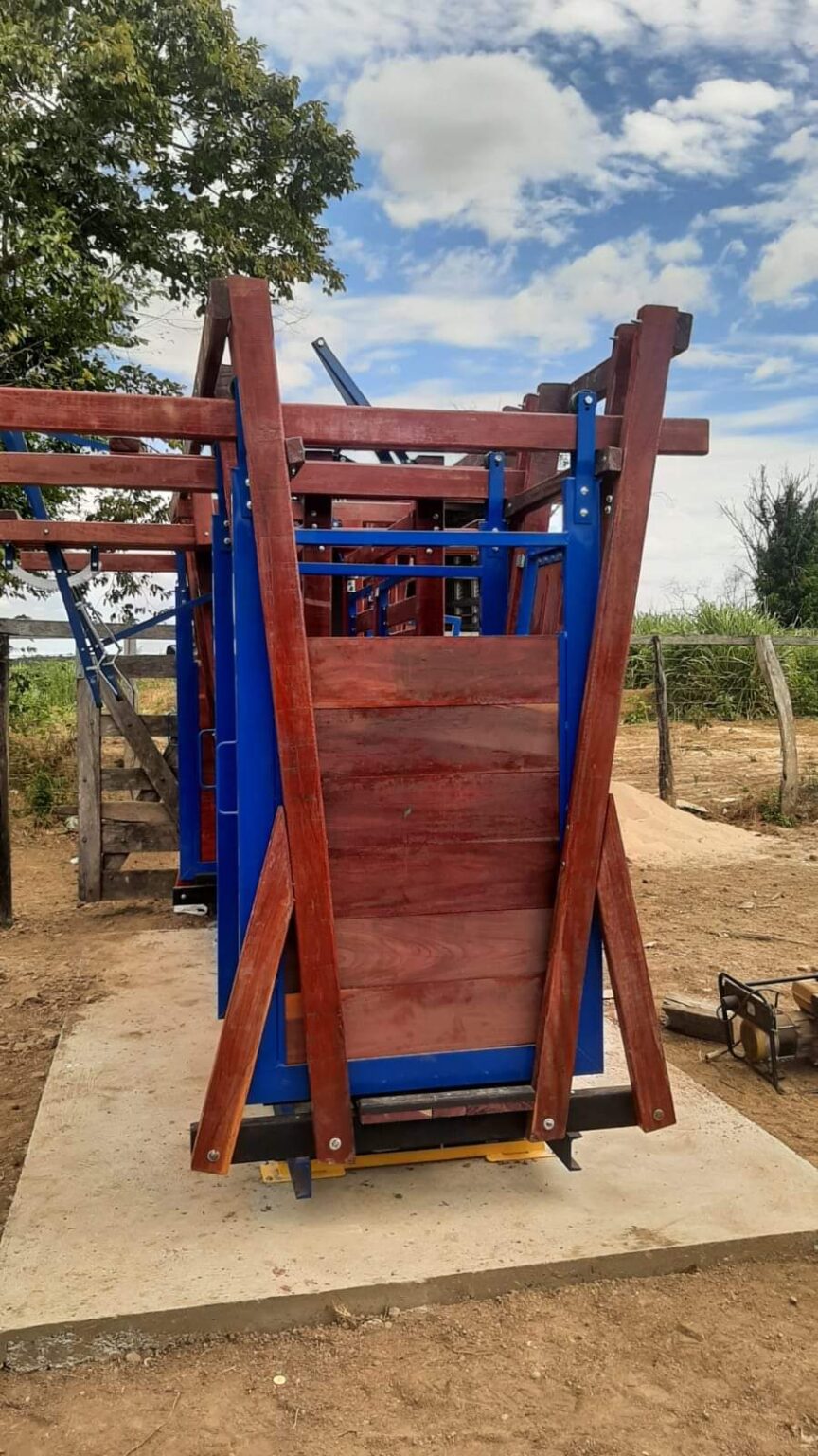 Tronco de contenção modelo americano com duas cabines e balança digital ...